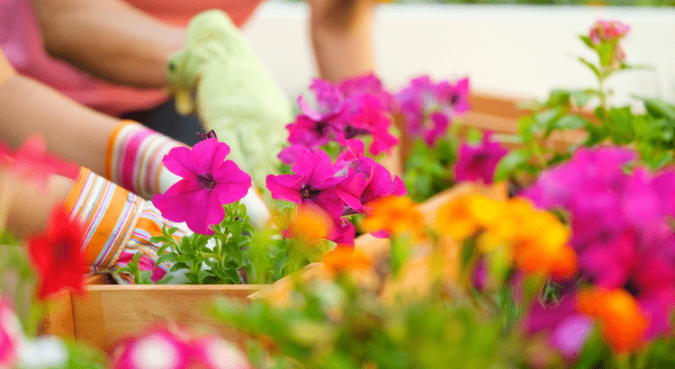 4 Things To Expect from the Spring Housing Market - Santa Fe Beautiful ...